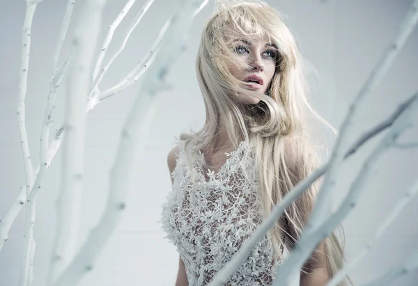 Snow lady Stock Photos, Royalty Free Snow lady Images | Depositphotos