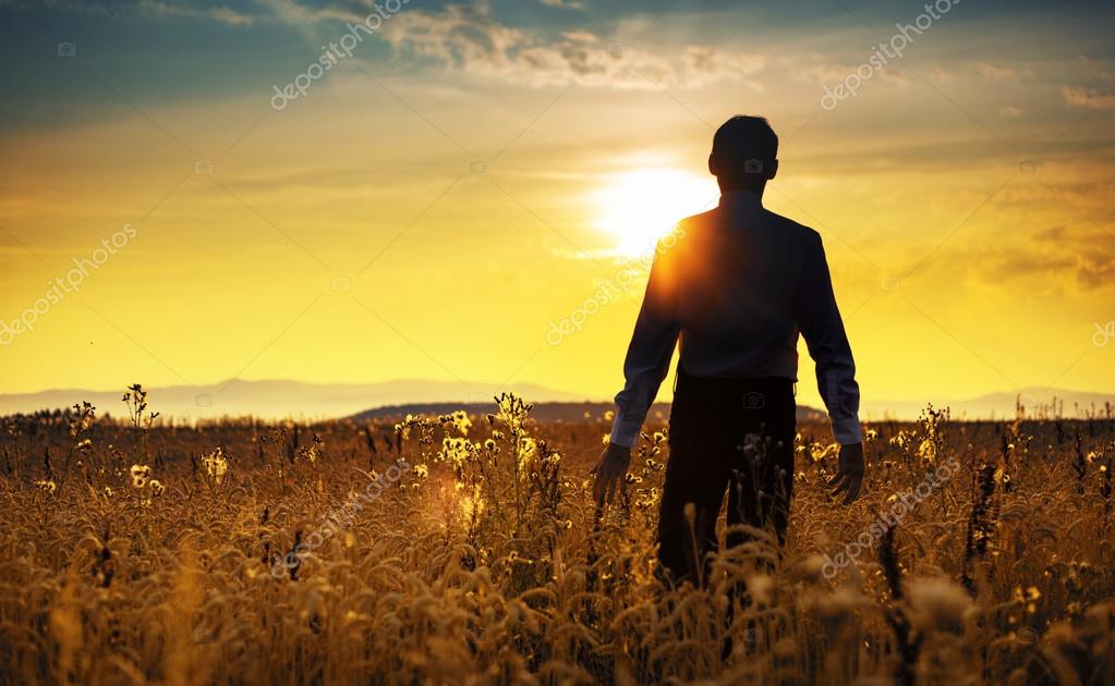 Calm businessman walking towards the sunrise — Stock Photo © konradbak ...