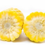 The corn cob pith Stock Photo by ©Xalanx 36966441