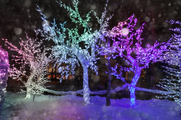 Trees at night Stock Photos, Royalty Free Trees at night Images ...