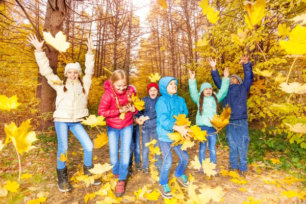 Children playing with leaves Stock Photos, Royalty Free Children ...