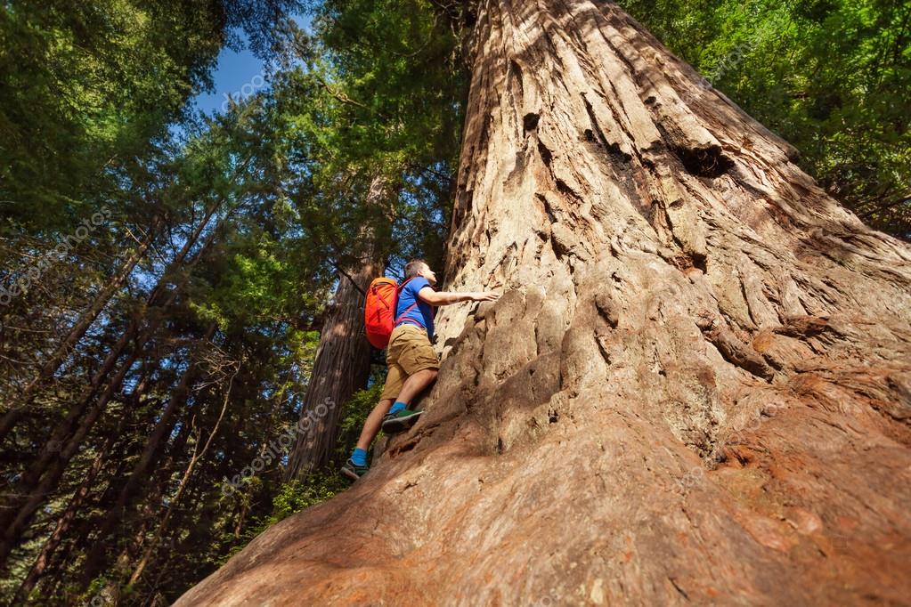 Man climbs on big tree — Stock Photo © serrnovik #77374450