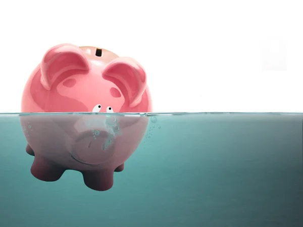 99 Drowning pig Stock Photos | Free & Royalty-free Drowning pig Images ...