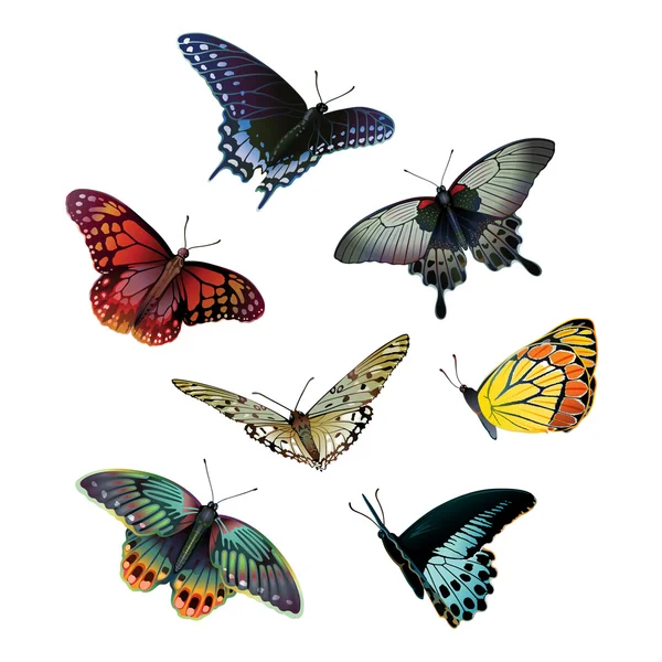 Seven bright butterflies Stock Vector Image by ©svetik #101250230