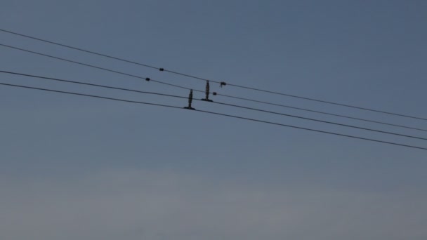 Trolley bus wires — Stock Video © TheoSid #110218024