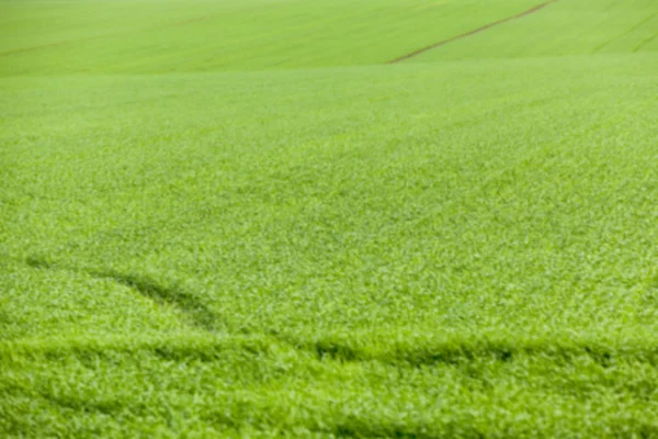 Green rough grunge texture — Stock Photo © PixelsAway #2061885