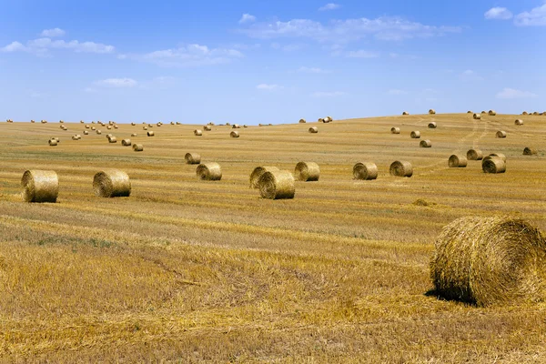 Straw bales — Stock Photo © chris2766 #51968067
