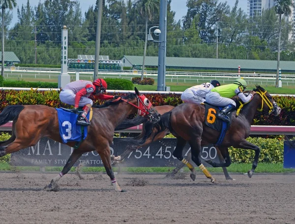 A Race to the Line – Stock Editorial Photo © Wimbledon #44427707