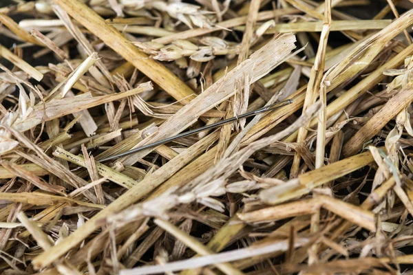 Needle in a haystack Stock Photo by ©Laures 5610300