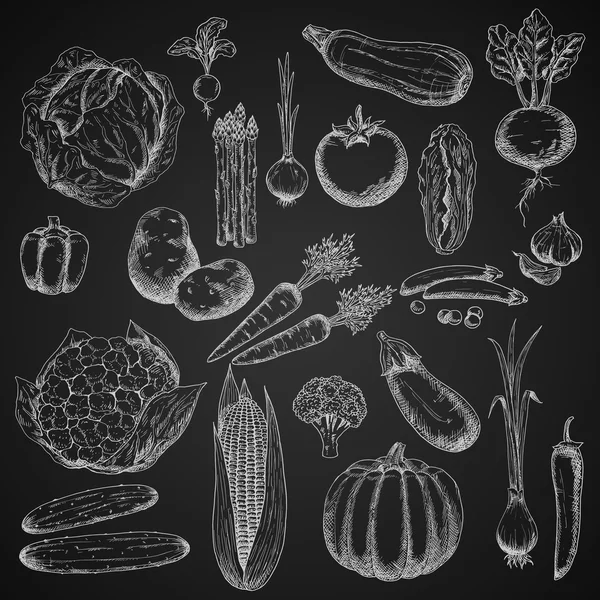Chalk sketches of farm vegetables Stock Vector Image by ©Seamartini ...
