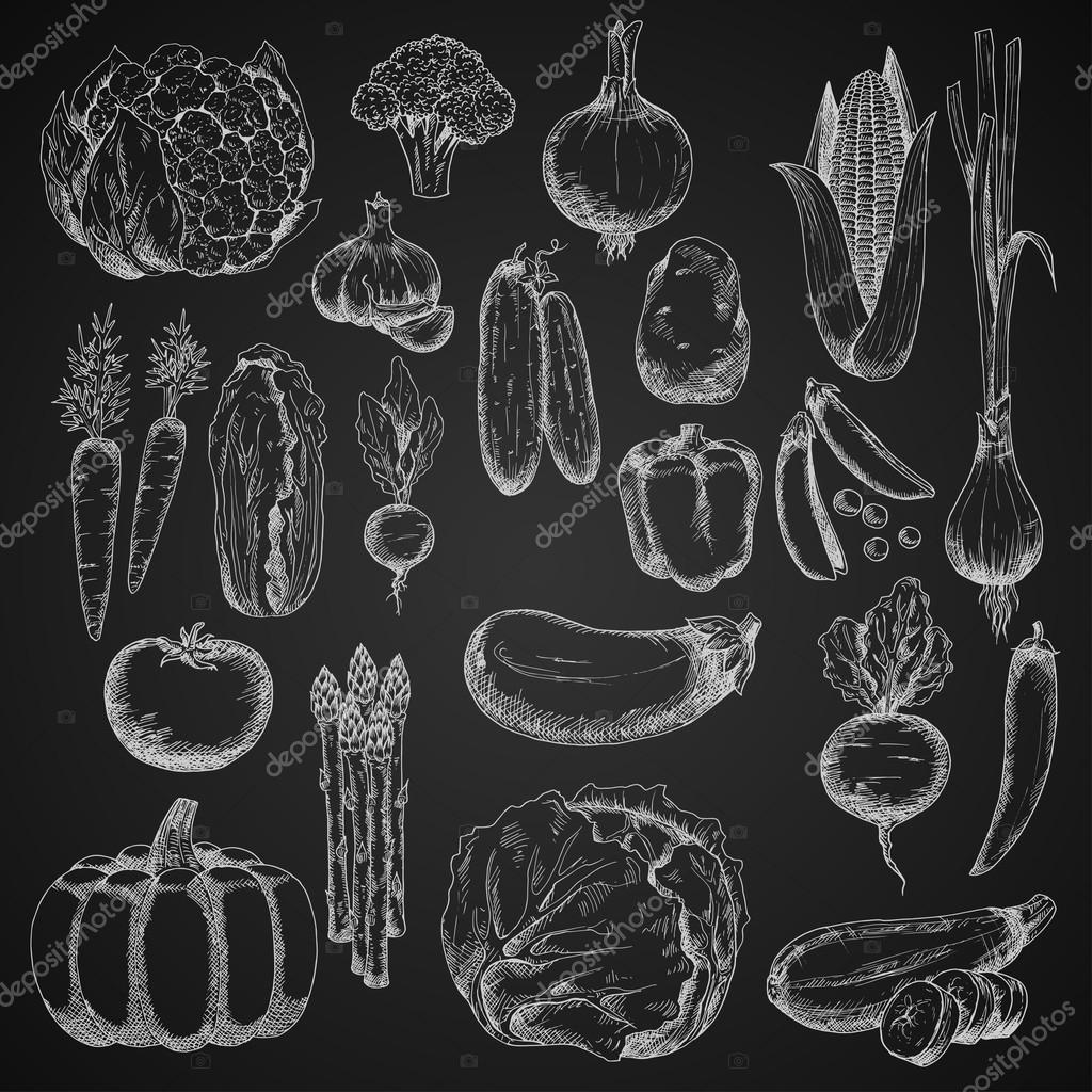 Chalk sketches of farm vegetables Stock Vector Image by ©Seamartini ...