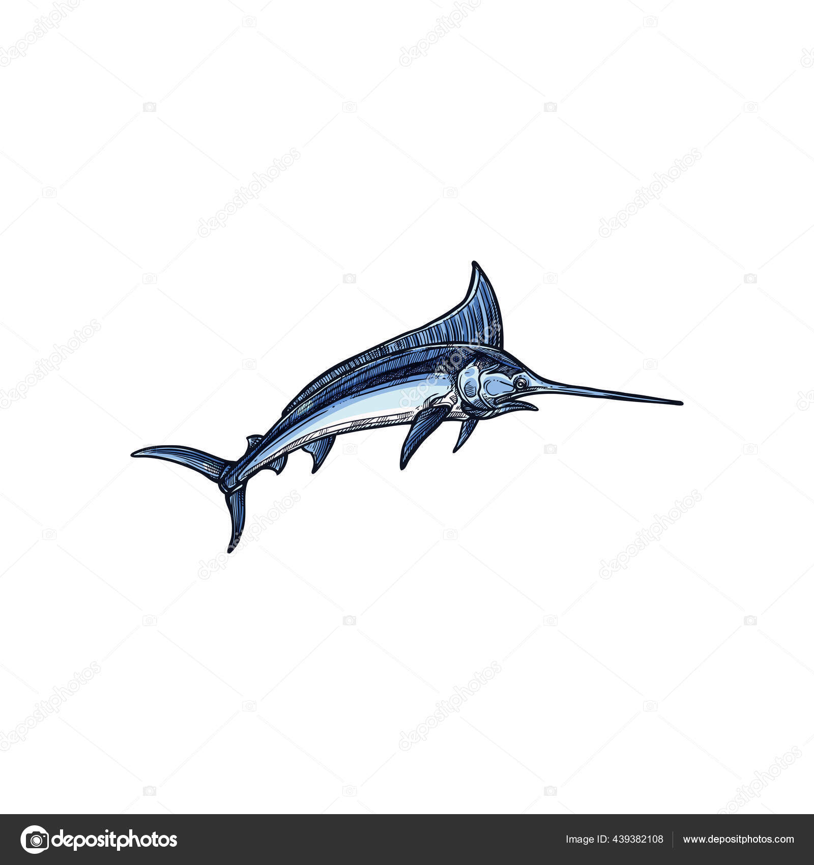 Needlefish Marlin Espadarte Isolado Esboço Monocromático Vector ...