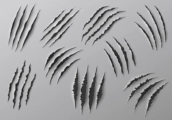 Predators Wild Animal Claw Marks Vector Scratches Nail Rips Tiger Stock ...