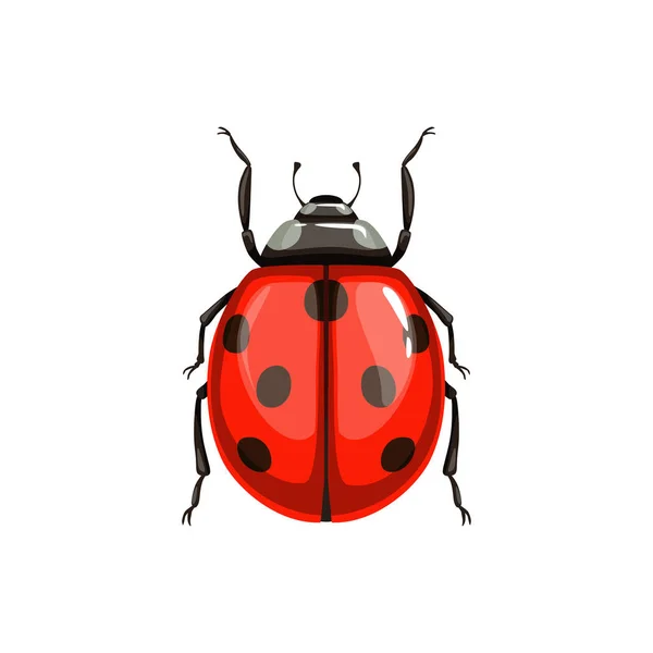 Red And Black Spotted Ladybug Icon Stock Illustration By ©seamartini
