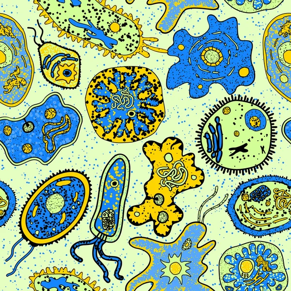 Amoeba Vector Images, Royalty-free Amoeba Vectors | Depositphotos®
