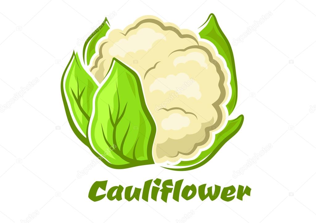 Vector: coliflor | Dibujos animados coliflor vegetales con hojas verdes ...