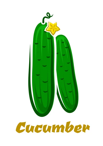 Cucumber vegetable vector icon Stock Vector by ©Seamartini 126463716