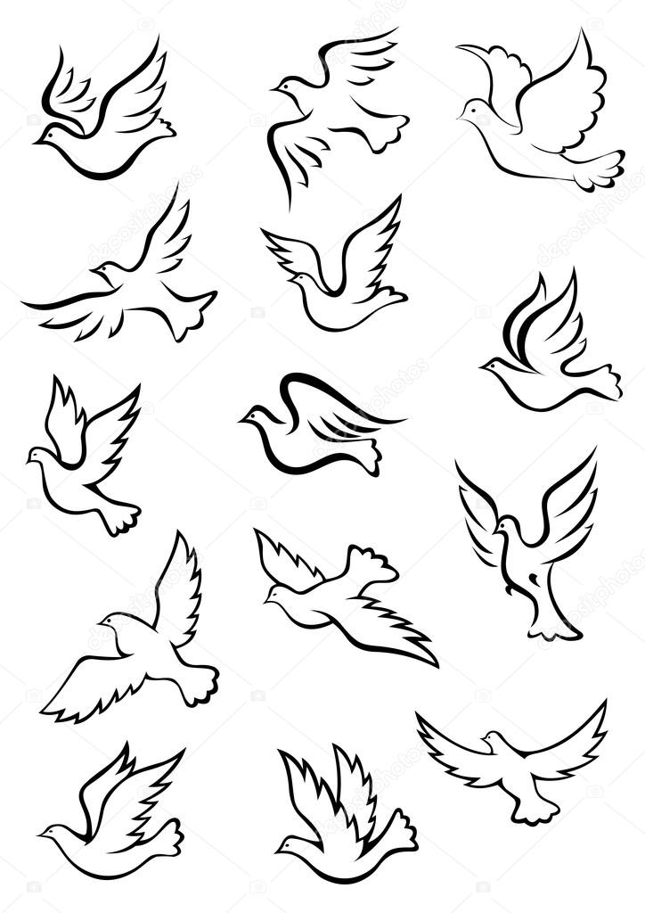 Dove Drawing Outline