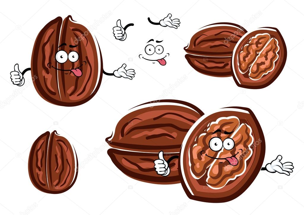 Divertidos dibujos animados aislados nueces marrones vector, gráfico ...