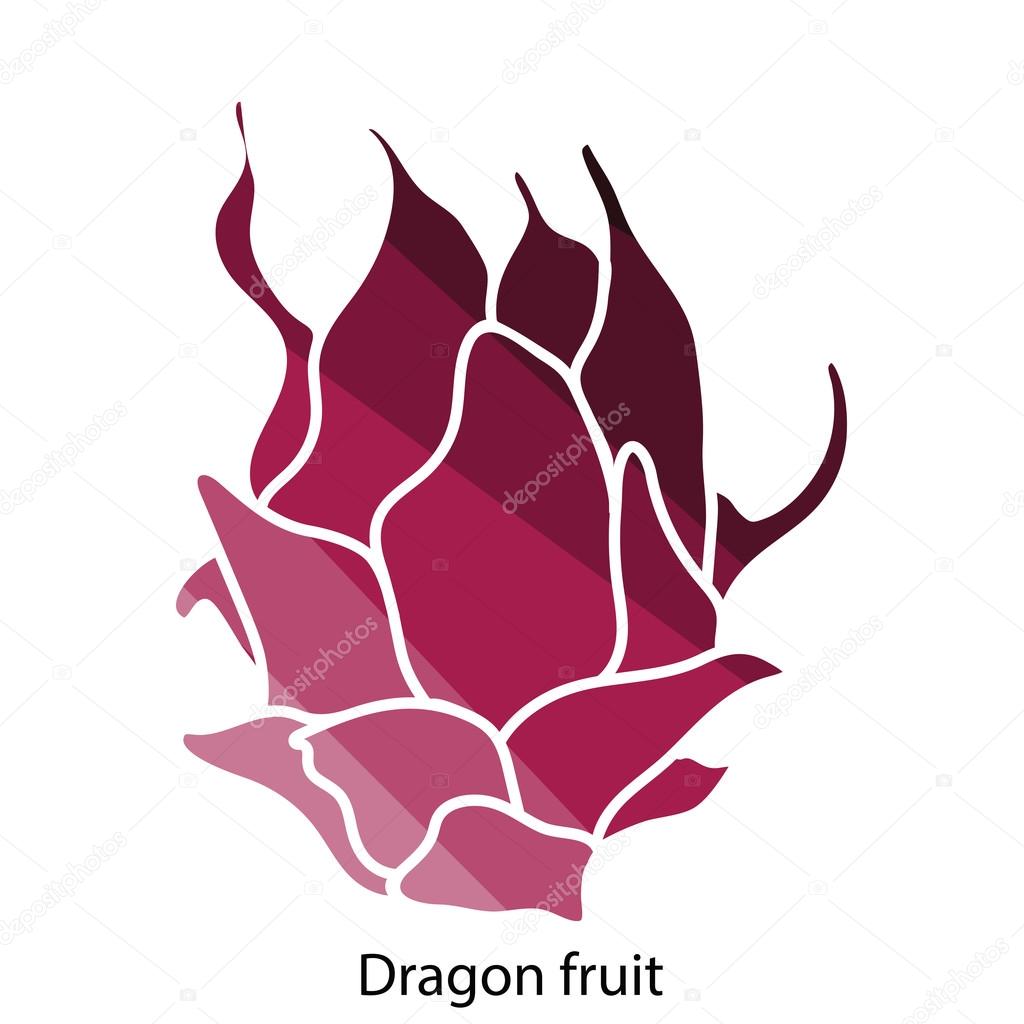 Dragon fruit icon illustration. Stock Vector Image by ©angelp #116954902