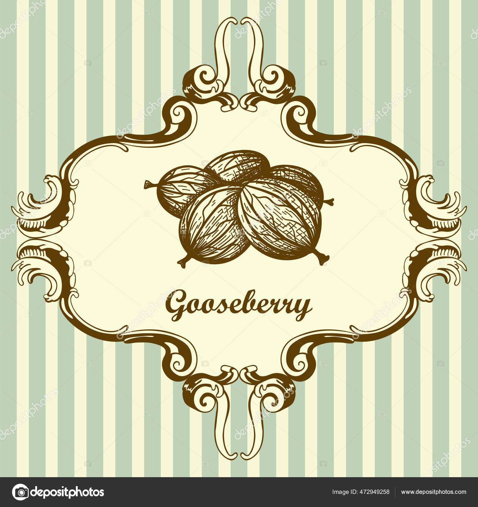 Icon Gooseberry Hand Drawn Sketch Retro Vintage Design Vector ...
