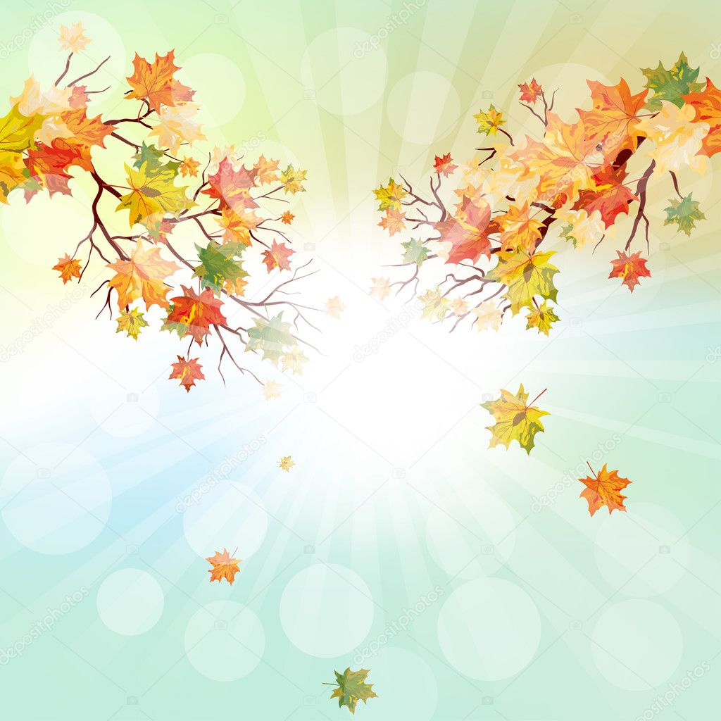 Autumn Frame With Falling Maple Leaves Stock Vector by ©angelp 82318176