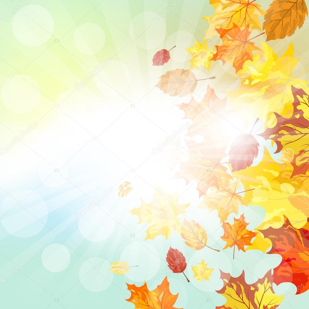 Autumn Frame With Falling Maple Leaves Stock Vector by ©angelp 82691498