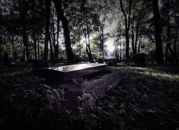 Creepy coffin Stock Photos, Royalty Free Creepy coffin Images ...