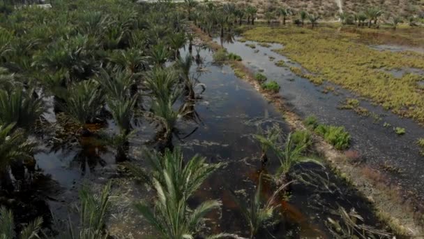 93 vídeos de Gevolgen van de aardopwarming, metraje de Gevolgen van de ...