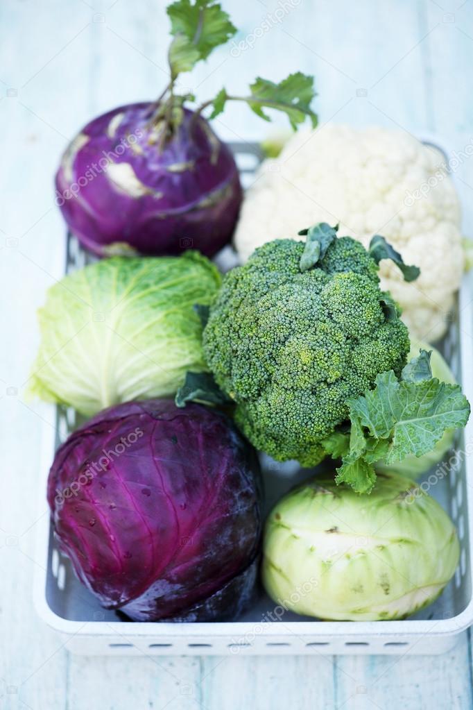 Collection of various types of cabbage Stock Photo by ©mallivan 120384228