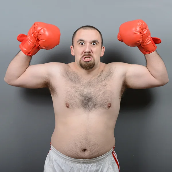 Portrait of funny fat boxer getting punch in face against gray b Stock ...