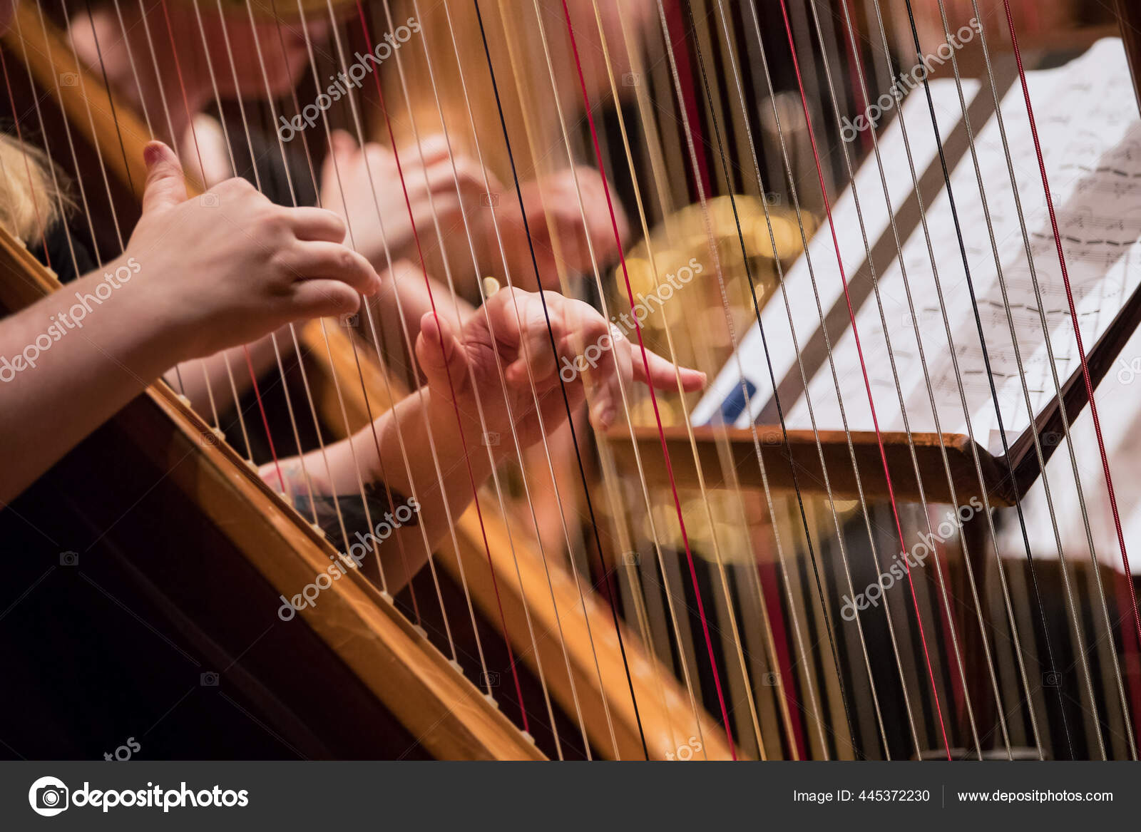 Harp professional player with symphony orchestra performing Stock Photo ...