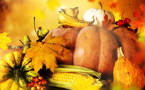 Jesen Stock Photos, Royalty Free Jesen Images | Depositphotos®