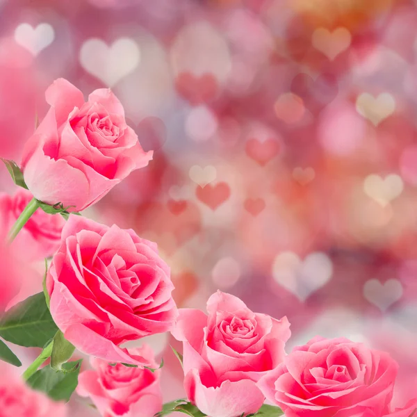 Pink roses background — Stock Photo © Kesu01 #62828513