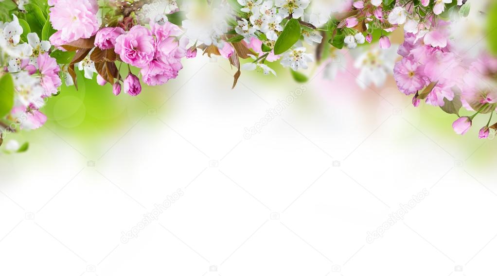 Beautiful spring blossoms background Stock Photo by ©Kesu01 66935817