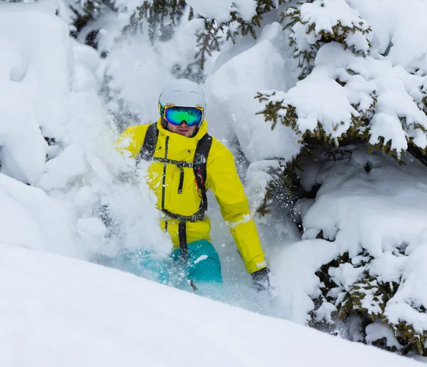 Freeride in fresh powder snow. - Stock Image - Everypixel