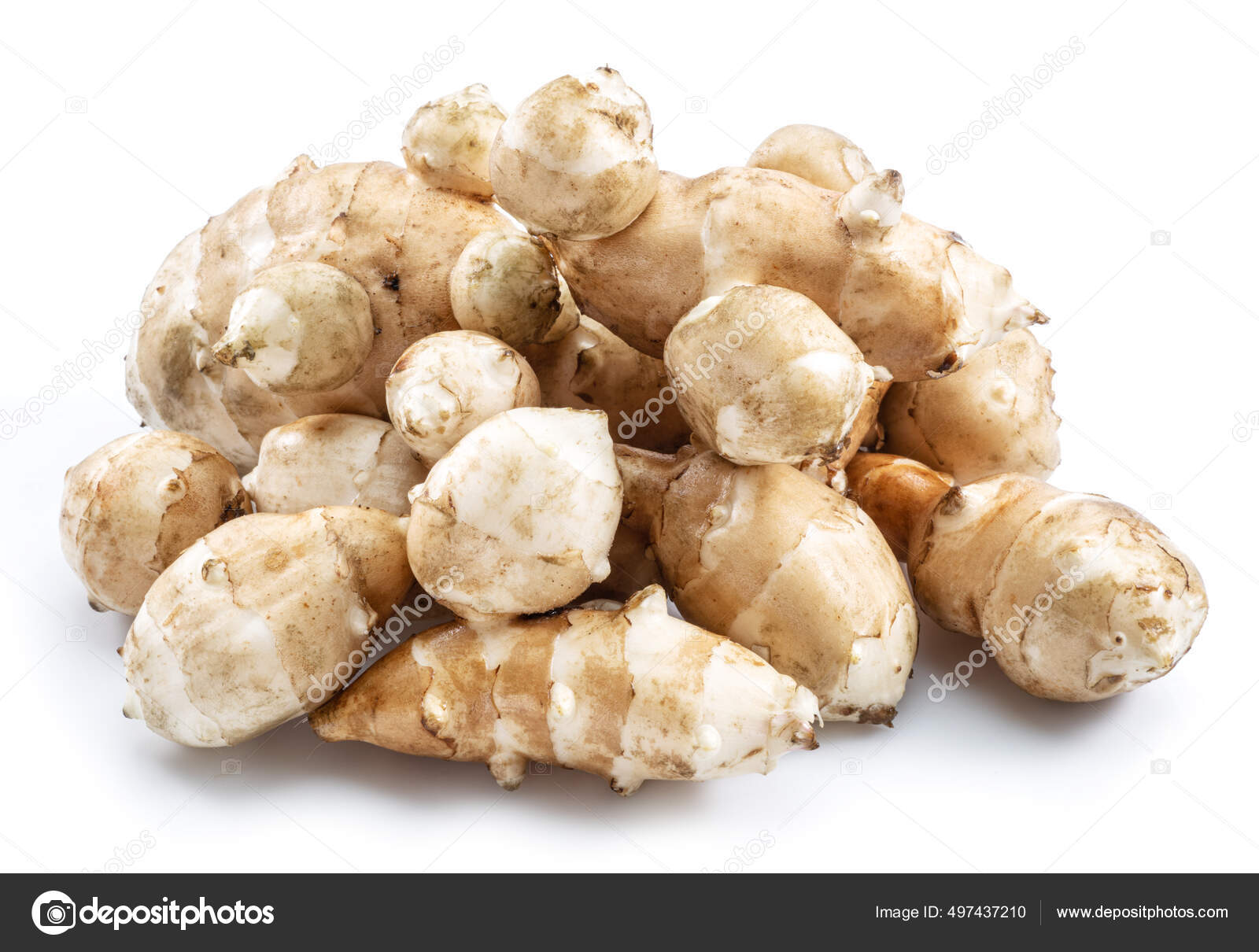 Jerusalem Artichoke Roots Isolated White Background — Stock Photo ...