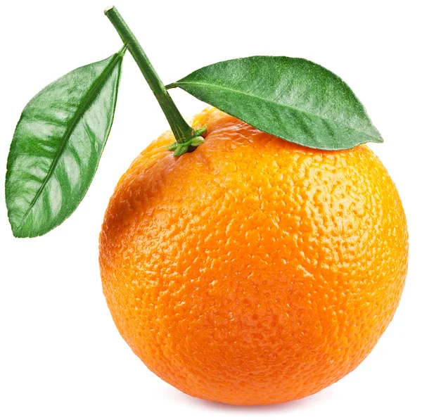 One orange Stock Photos, Royalty Free One orange Images | Depositphotos