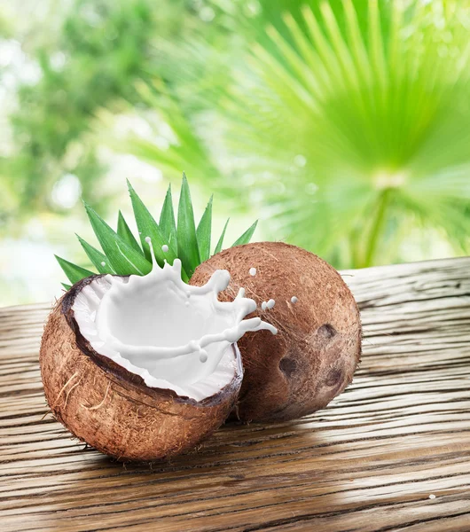 Coconut milk Stock Photos, Royalty Free Coconut milk Images | Depositphotos