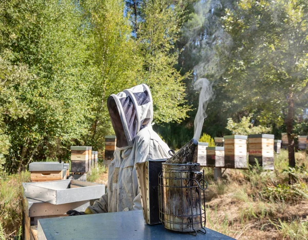 Beehives in utah Stock Photos, Royalty Free Beehives in utah Images ...