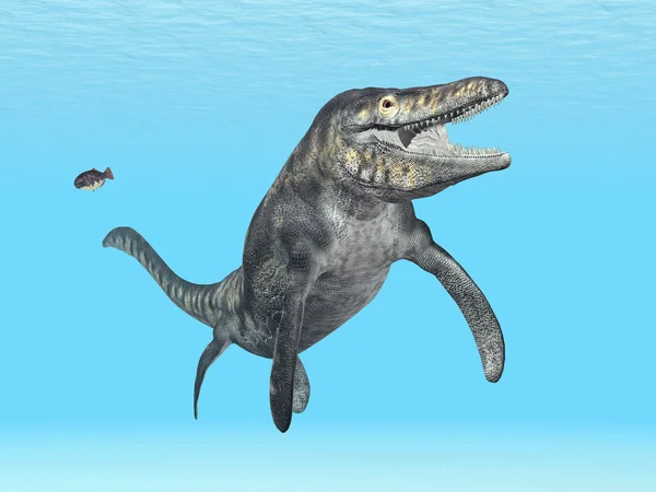 Liopleurodon Vs Tylosaurus