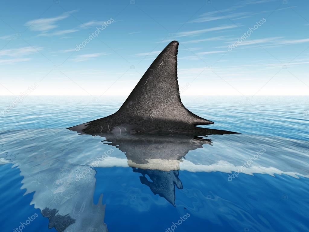 Shark Fins In Water