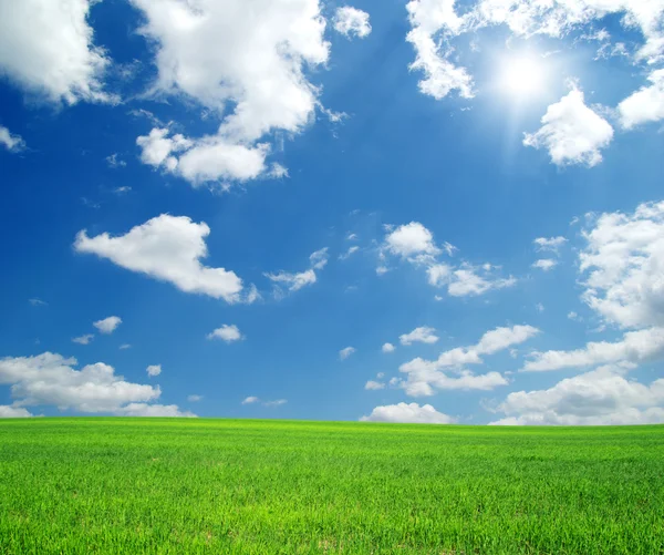 Ruoho taivas Stock Photos, Royalty Free Ruoho taivas Images | Depositphotos