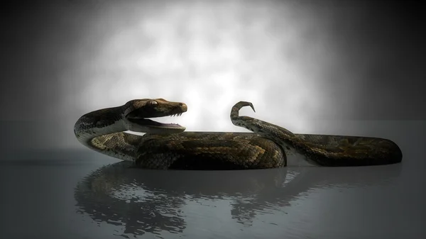 Snake Stock Photos, Royalty Free Snake Images | Depositphotos