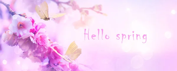 Hello Spring Facebook Cover