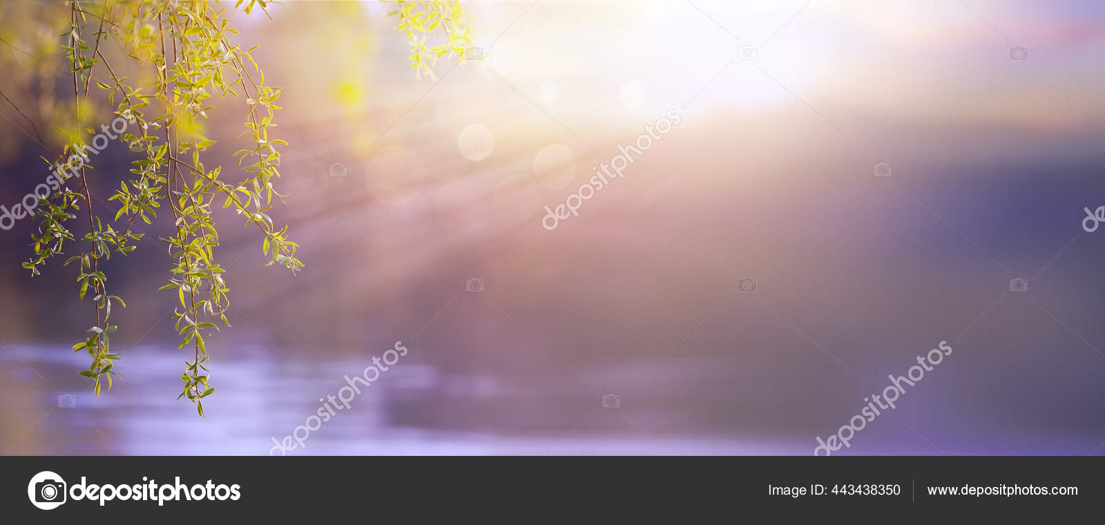Abstract Blurred Beautiful Spring Background Fresh Leaves — Stock Photo ...
