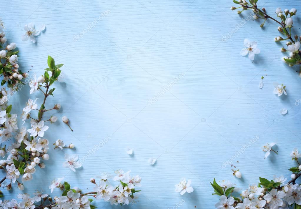 Art Spring border background with white blossom Stock Photo by ...