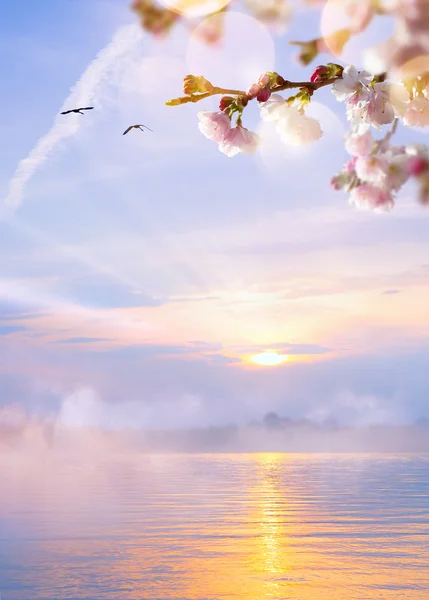 Abstract Spring landscape background with flying birds and Sprin Stock ...