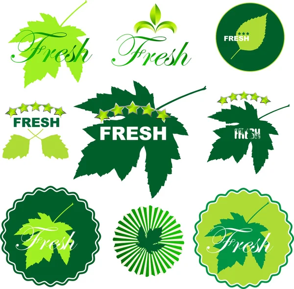 Fresh icon Stock Vector Image by ©boggy22 #48402933