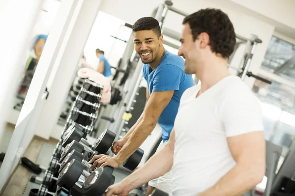 Hombres entrenando gimnasio fotos de stock, imágenes de Hombres ...